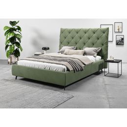 Polsterbett Home Affaire "Maxime, in 4 Breiten bis 200cm, auch in Leder", gr&uuml;n (turtle), B:196cm H:105cm L:254cm, 94% Polyester, 6% Nylon, Betten, Polsterbett, Kopfteilh&ouml;he 143 cm, belastbar bis 280 kg, auch in &Uuml;berl&auml;nge 220cm