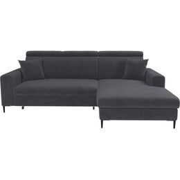 Ecksofa TRENDS BY HG "Nizza, L-Form, B: 250cm", d505 enjoy new 24 grafite, B:250cm H:104cm T:166cm, 92% Polyester;8% Nylon, Sofas, Ecksofa, Schlaffunktion + Bettkasten