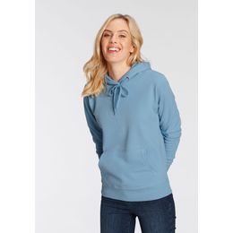 Kapuzensweatshirt Fruit of the Loom "Classic hooded Sweat Lady-Fit", Damen, Gr. M (38), blau (hellblau), Sweatware, Obermaterial: 80% Baumwolle, 20% Polyester, unifarben, figurumspielend h&uuml;ftlang, Rundhals, B&uuml;ndchen, Sweatshirts, mit K&auml;ngurutaschen