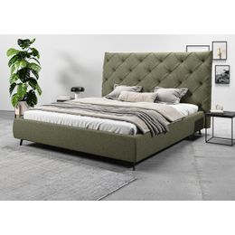 Polsterbett Home Affaire "Maxime, in 4 Breiten bis 200cm, auch in Leder", gr&uuml;n, B:236cm H:105cm L:254cm, 96% Polyester, 4% Polyacryl, Betten, Polsterbett, Kopfteilh&ouml;he 143 cm, belastbar bis 280 kg, auch in &Uuml;berl&auml;nge 220cm