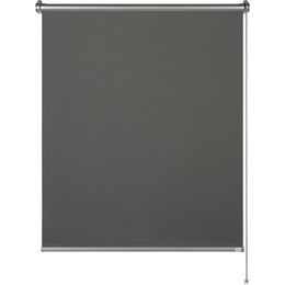 Sch&ouml;ner Wohnen Kollektion Seitenzugrollo "Thermorollo Martha", grau (anthrazit), B:45cm H:150cm, Polyester, SCH&Ouml;NER WOHNEN-KOLLEKTION, Rollos, Seitenzugrollo, Sch&ouml;ner Wohnen Rollo, geklebt