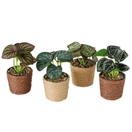 SONSTIGE Kunstpflanze TRAY