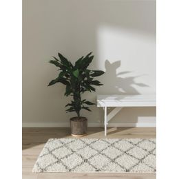 benuta Pop Hochflorteppich Soho Cream 80x300 cm - Berber-Stil Teppich