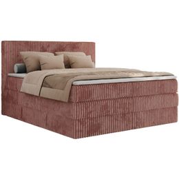BOXSPRINGBETT TILIANO KING - 160/200 - Rosa Cord - H3