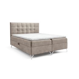 Fun M&ouml;bel BOXBETT Candela