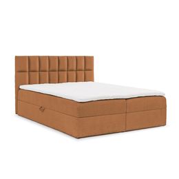 Fun M&ouml;bel BOXBETT Dominga Premium