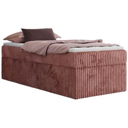 BOXBETT ZERO 90/200 - Rosa Cord - H3 - Topper T25