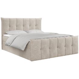 BOXBETT PREMIUM 11 200/200 Beige Struktur - H3