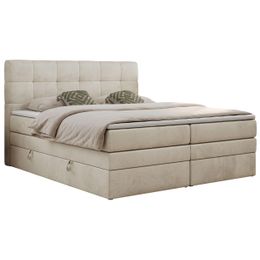 BOXSPRINGBETT LUKA KING 200/200 Beige Velvet - H4