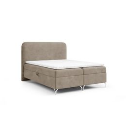 Fun M&ouml;bel BOXBETT Emilio Premium