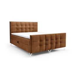 Fun M&ouml;bel BOXBETT Perla Premium &uuml;berl&auml;nge