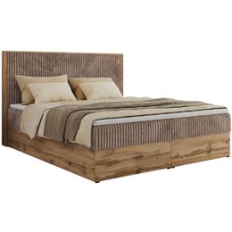 BOXBETT WOOD CLASSIC 180/200 - Braun Cord - H4