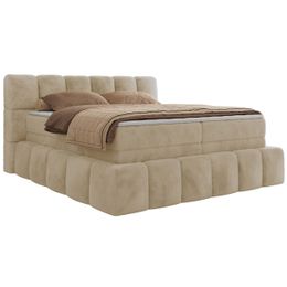 BOXSPRINGBETT NIRA KING 160/200 Creme Pl&uuml;sch - H4
