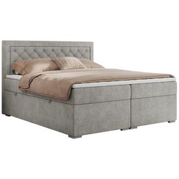 BOXBETT JASIR 140/200 - Hellgrau Strukture - H4