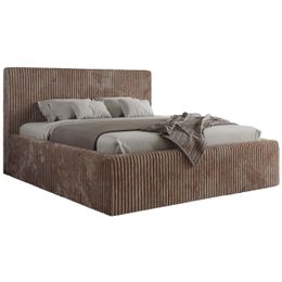 POLSTERBETT TILIANO CLASSIC 200/200 - Braun Cord - Schaum-Matratze