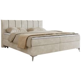 BOXBETT DRINEA 180/200 - Hellbeige Velours - H3