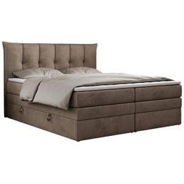 BOXSPRINGBETT PREMIUM 10 KING 200/200 Braun Velvet - H4