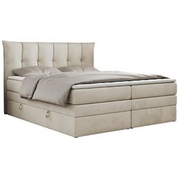 BOXSPRINGBETT PREMIUM 10 KING 200/200 Beige Velvet - H3