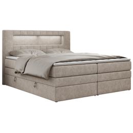 BOXSPRINGBETT GOLD-5 KING LED 200/200 Beige Struktur - H4