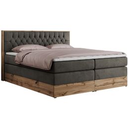 BOXSPRINGBETT AMORE KING 200/200 Dunkelgrau Velvet - H4