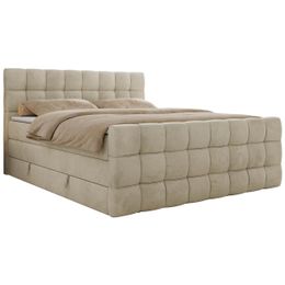 BOXSPRINGBETT ALTIVO KING DUO 180/200 - Beige Velvet - H3