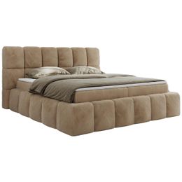 BOXBETT NIRA 120/200 - Beige Pl&uuml;sch - H4