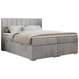 BOXBETT ALLY 120/200 Hellgrau Velvet - H4