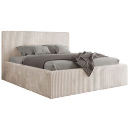 POLSTERBETT TILIANO CLASSIC 140/200 - Beige Cord - Schaum-Matratze