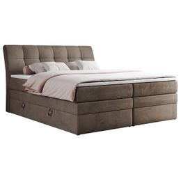 BOXSPRINGBETT GOLD-10 KING 200/200 Braun Velvet - H4