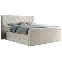 BOXSPRINGBETT KING VELEN 200/200 Beige Velvet - H4