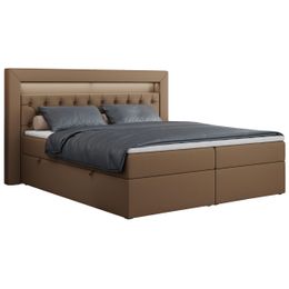 BOXBETT GOLD-6 LED 120/200 Braun Kunstleder - H4