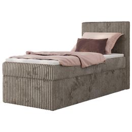 BOXBETT TILIANO 90/200 - Hellbraun Cord - H4 - Visco Topper - Rechts