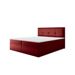 Fun M&ouml;bel BOXBETT Degna In &uuml;berl&auml;nge