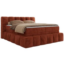 BOXSPRINGBETT NIRA KING 140/200 Orange Pl&uuml;sch - H3