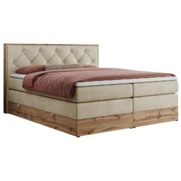 BOXSPRINGBETT VENETO KING 160/200 Beige Velvet - H3