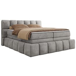BOXSPRINGBETT NIRA KING 120/200 Hellgrau Velvet - H3