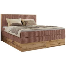 BOXBETT WOOD CLASSIC KING 140/200 - Rosa Cord - H3