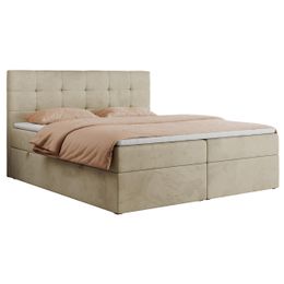 BOXBETT CENTO 120/200 Beige Velvet - H4