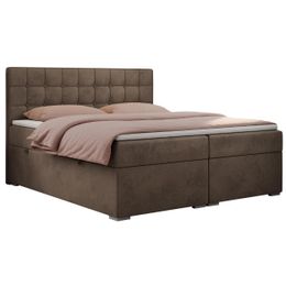 BOXBETT CARMEN 160/200 Braun Velvet - H3