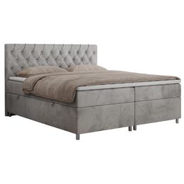 BOXBETT ROMA 180/200 - Hellgrau Velvet - H3