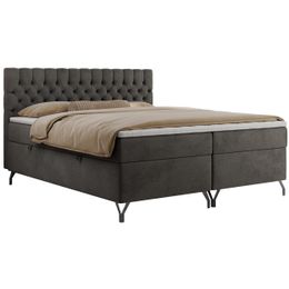BOXBETT GRIMALDI 120/200 Dunkelgrau Velvet - H4