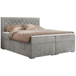 BOXBETT JASIR 120/200 - Hellgrau Velvet - H4