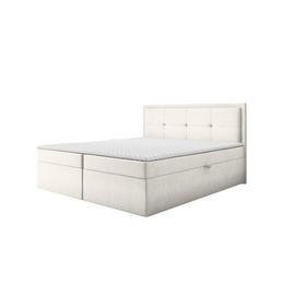 Fun M&ouml;bel BOXBETT Degna In &uuml;berl&auml;nge