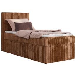 BOXBETT TILIANO 90/200 - Orange Cord - H4 - Links