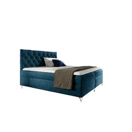 Fun M&ouml;bel BOXBETT Ambre In &uuml;berl&auml;nge