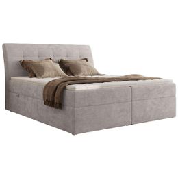 BOXBETT DAGOS 180/200 - Hellgrau Schenille glatt - H4 - Topper T25
