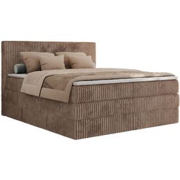 BOXSPRINGBETT TILIANO KING - 140/200 - Braun Cord - H3