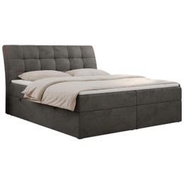 BOXBETT DIEGOS 140/200 Dunkelgrau Velvet - H3