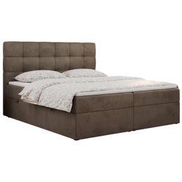 BOXBETT ERNI 180/200 - Braun Velvet - H4