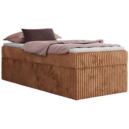 BOXBETT ZERO 90/200 - Orange Cord - H4 - Topper Visco